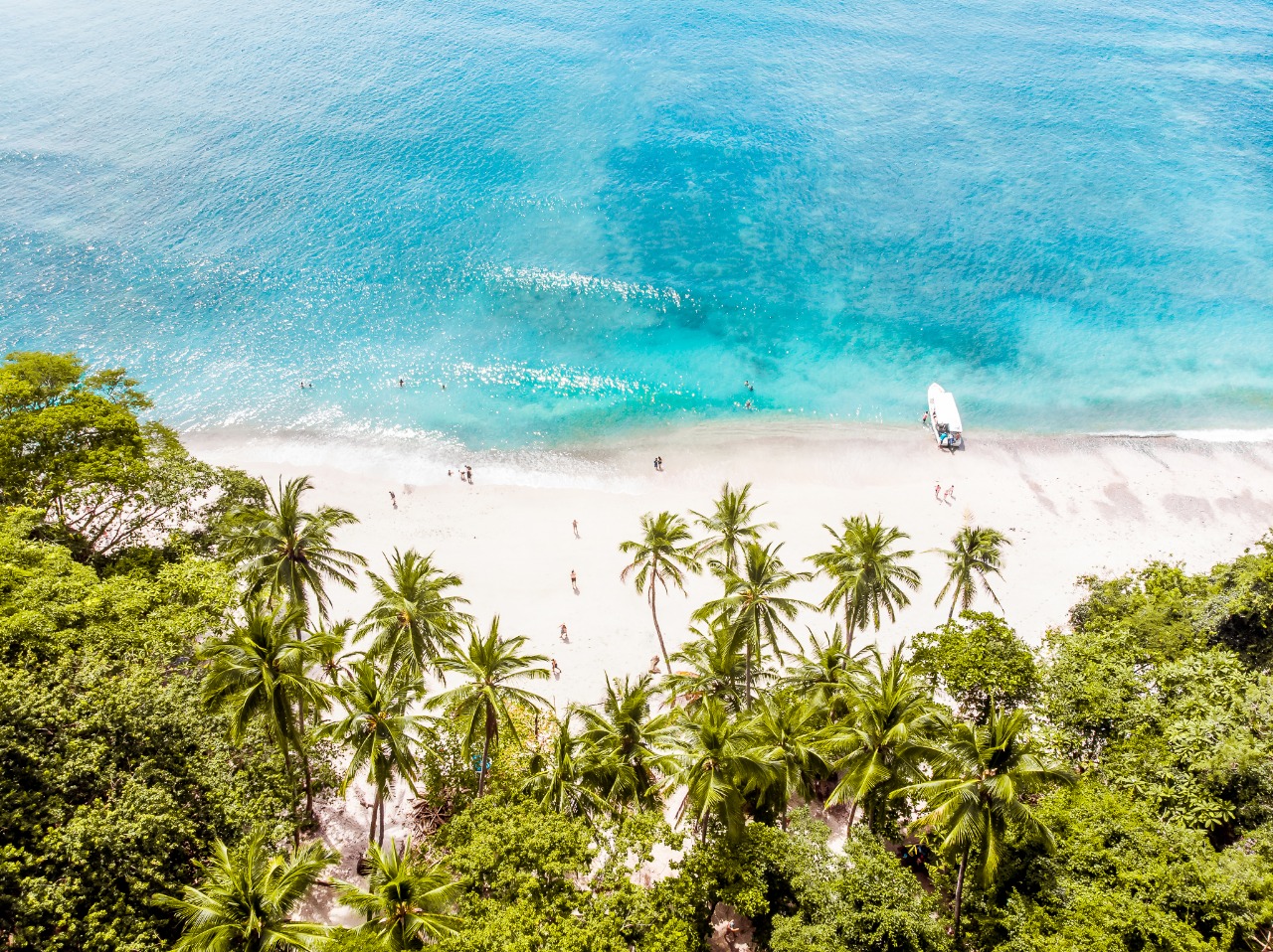 Visite Playa Quesera e Isla Tortuga por ₡35.000 (por persona, todo ...